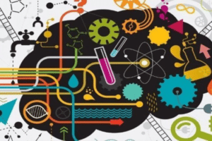 Algoritma Adalah: Pengertian, Jenis, Dan Contoh - Coding Studio