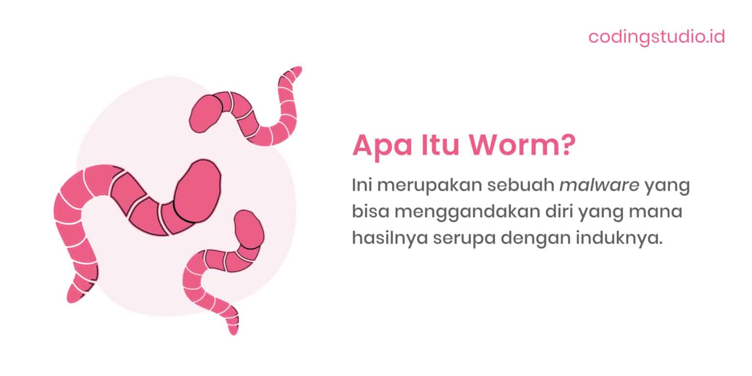 Virus Worm Adalah? Pengertian, Jenis Dan Tips Menghindarinya
