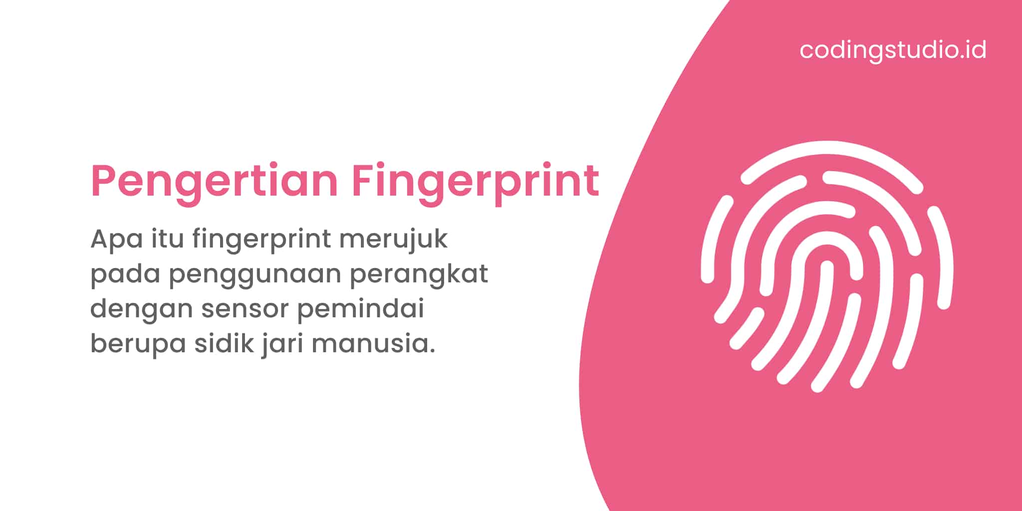 Fingerprint Adalah: Pengertian, Manfaat Dan Cara Kerjanya