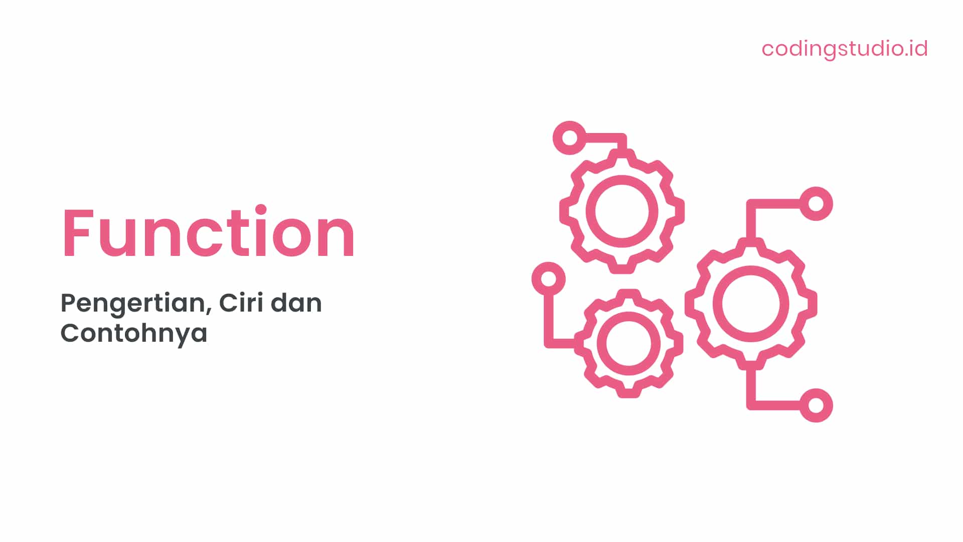 Function Adalah: Pengertian, Ciri Dan Contoh Untuk Pemula