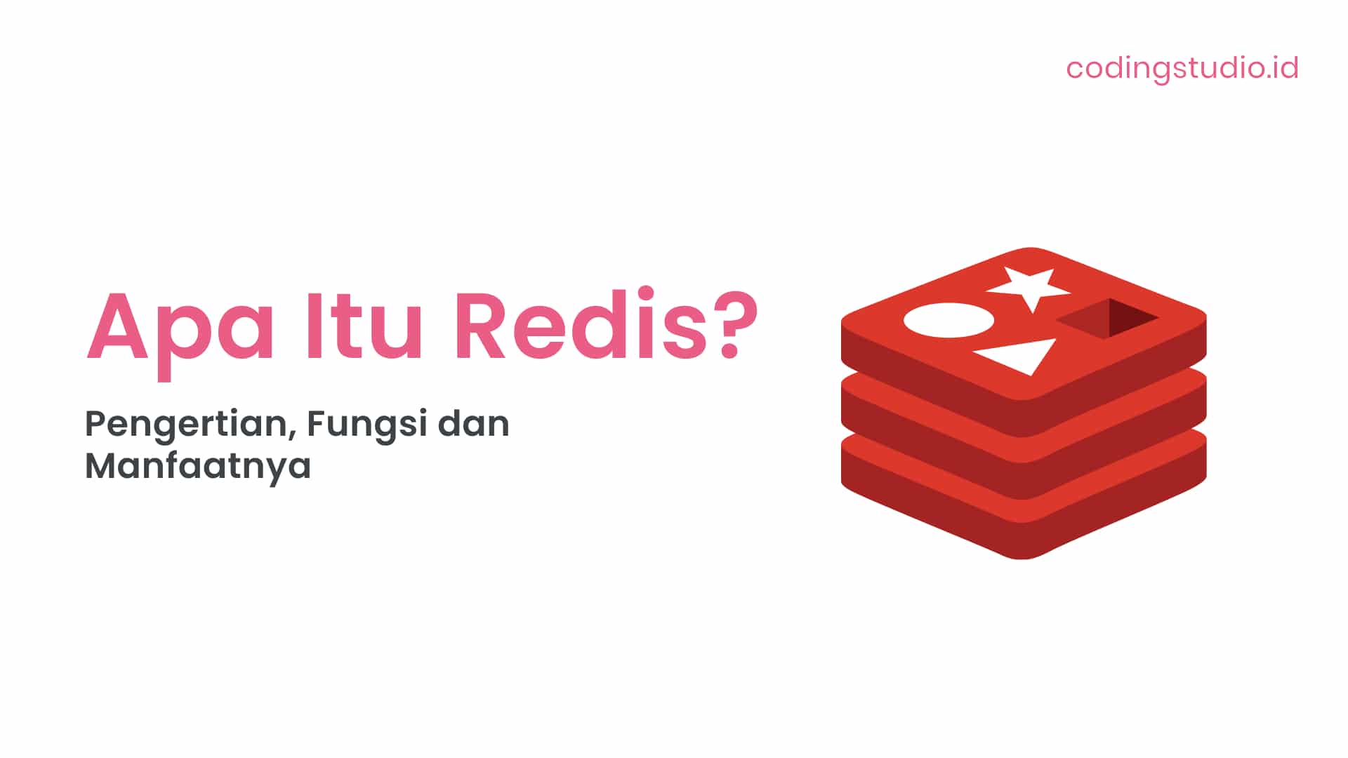 Redis Adalah: Pengertian, Fungsi Dan Manfaatnya