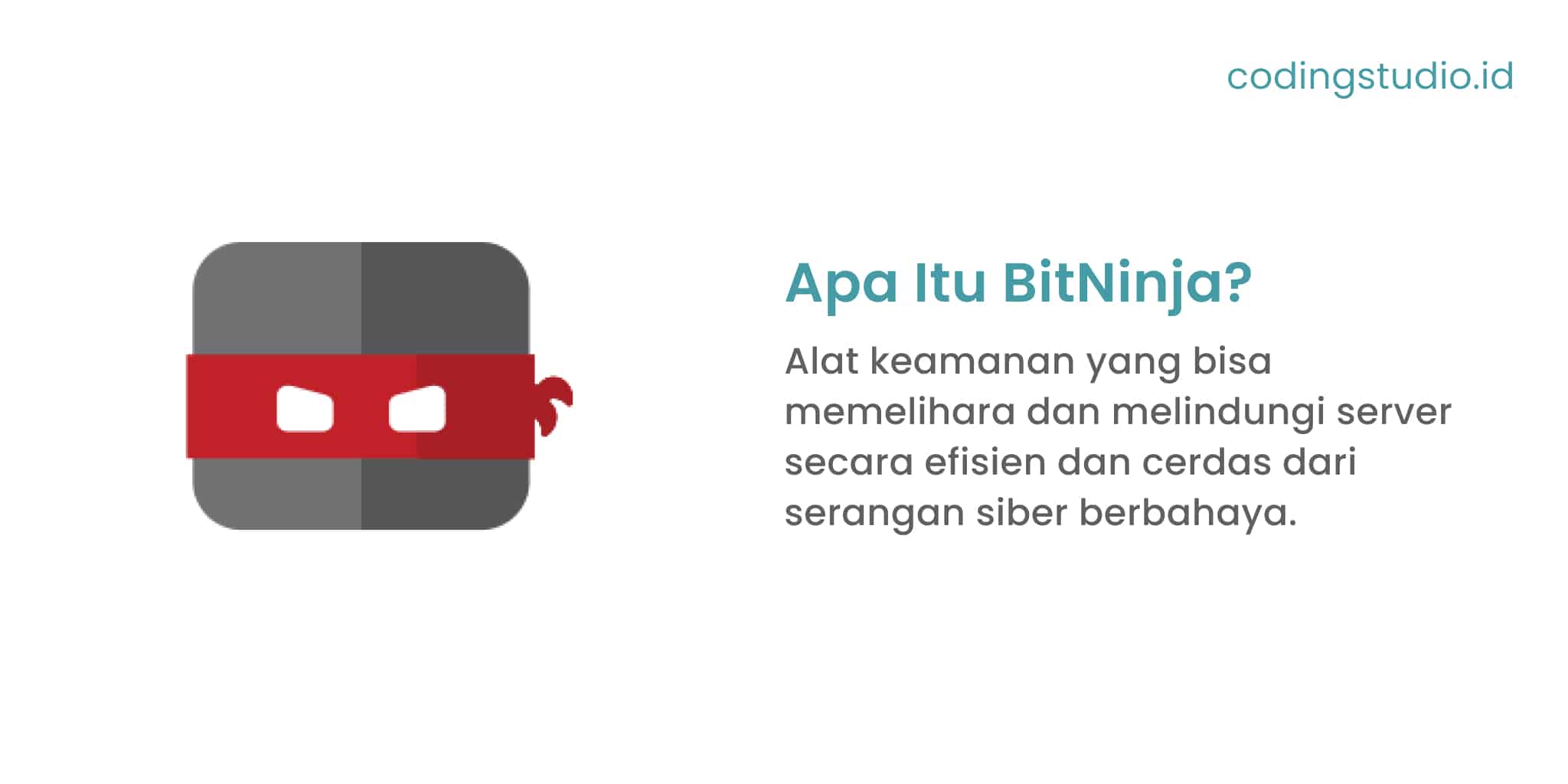 BitNinja Adalah: Pengertian, Fungsi Dan Cara Kerjanya