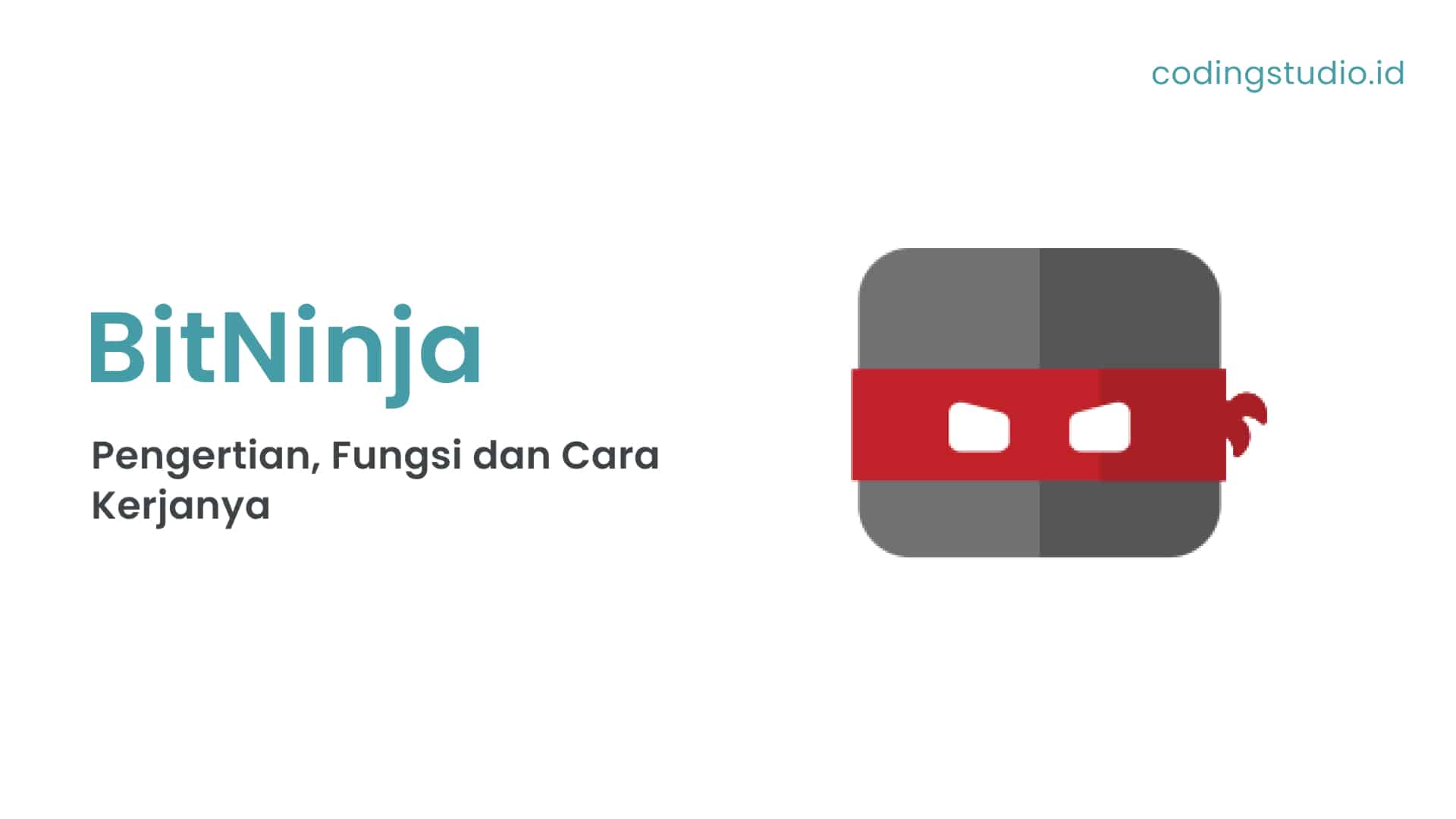 BitNinja Adalah: Pengertian, Fungsi Dan Cara Kerjanya